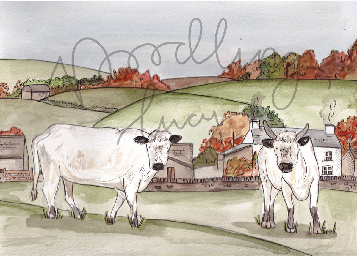 Vaynol Cattle A4 Art Print – Doodling Lucy